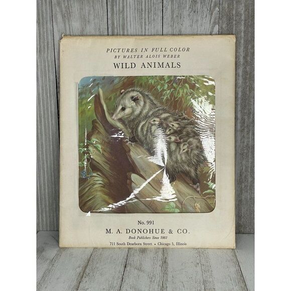 Vintage | Art | Vintage 95s Picturesin Full Color By Walter Alois Weber ...